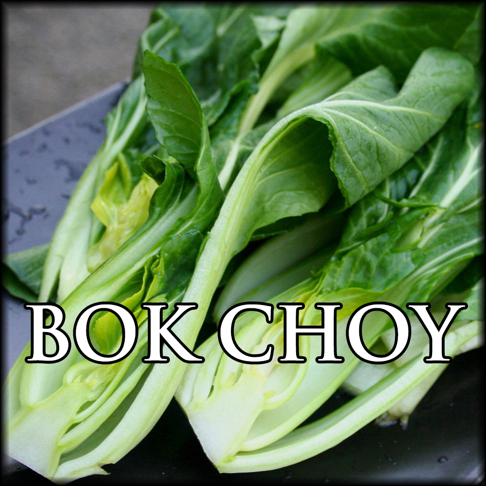 Bok Choy – Pumpkin Ridge Gardens