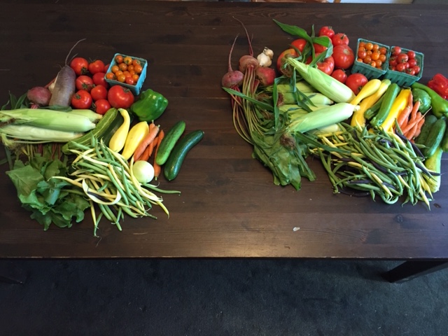 Comparing Full and Half Share Baskets – Pumpkin Ridge Gardens