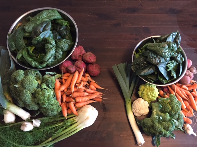 Comparing Full and Half Share Baskets – Pumpkin Ridge Gardens