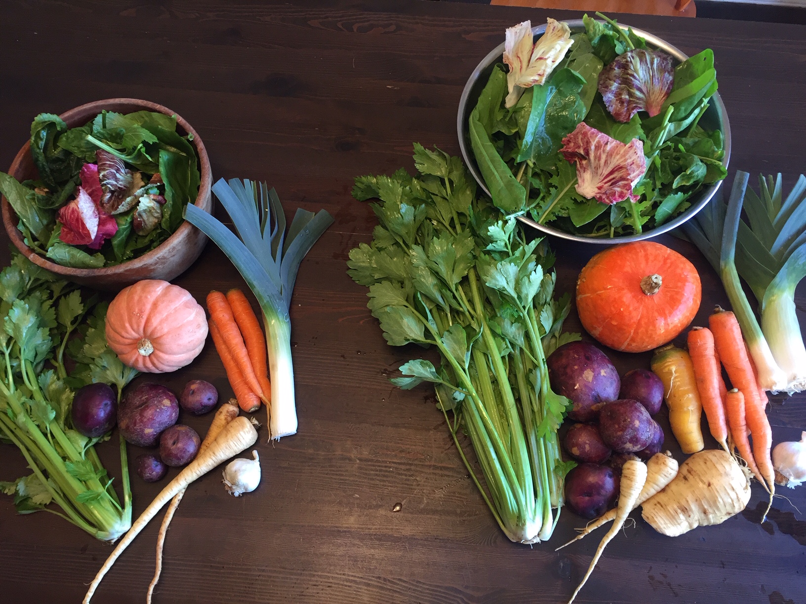 Comparing Full and Half Share Baskets – Pumpkin Ridge Gardens